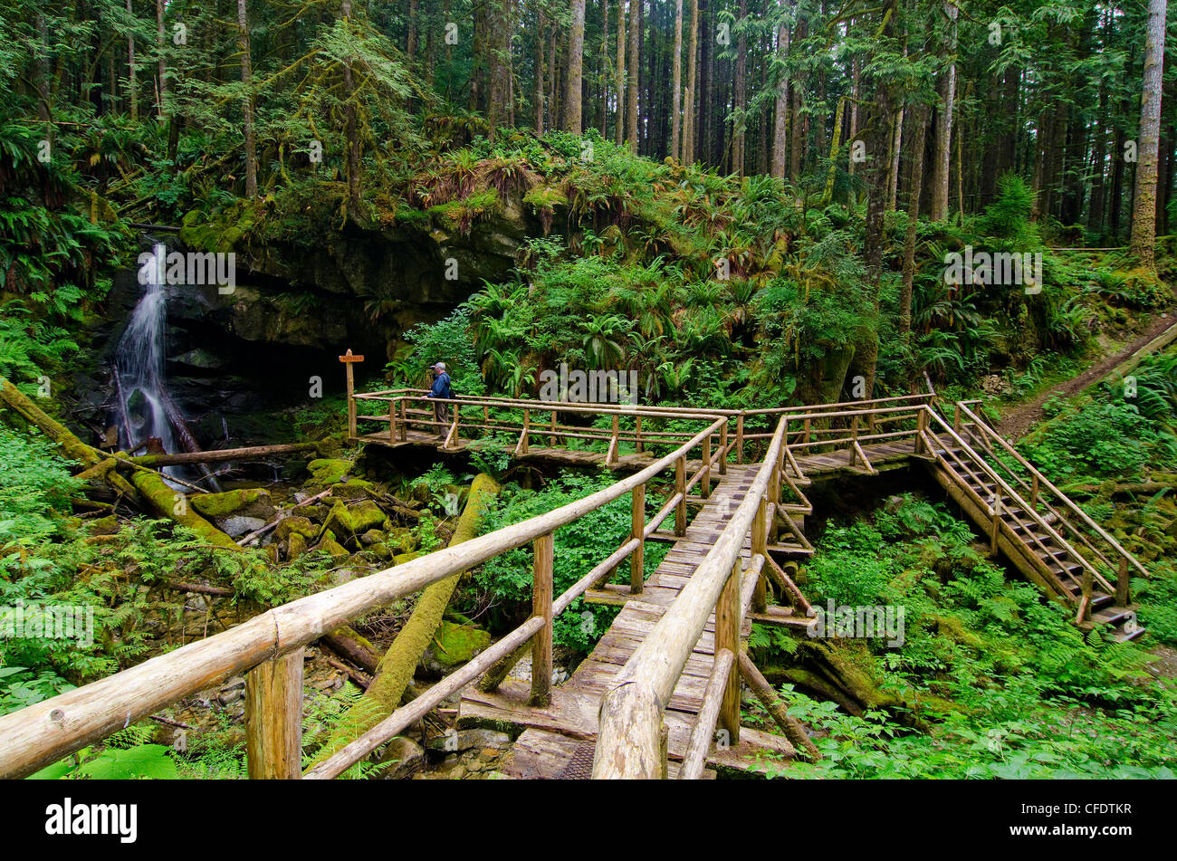 Hiker enjoys views Kelly Falls boardwalk along Stock Photo - Alamy