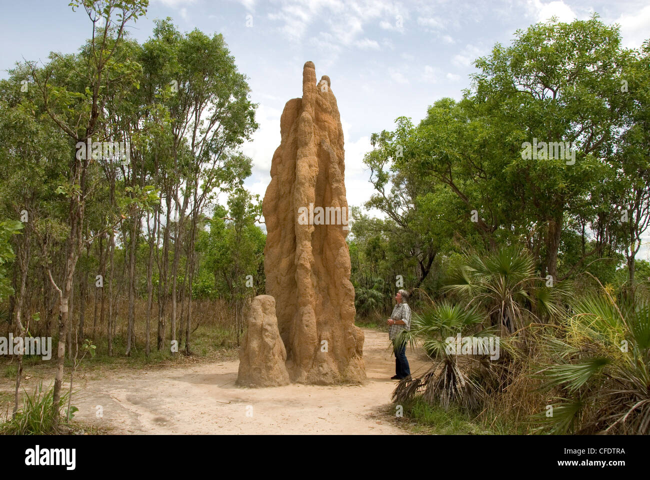Castle termite hill, Litchfield National Park, Northern Territory ...