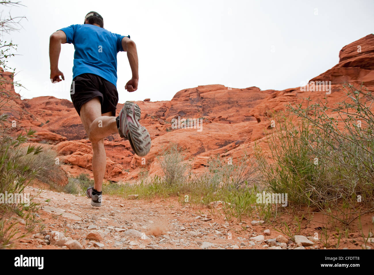 Man trail running Stock Photo - Alamy