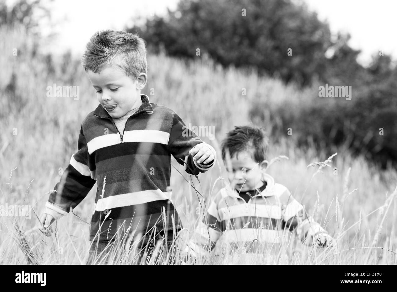 Walking together through fields hi-res stock photography and images - Alamy