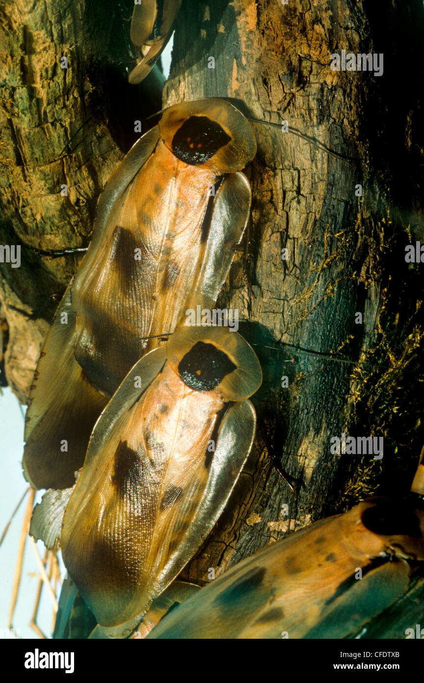 Three unidentified hi-res stock photography and images - Alamy