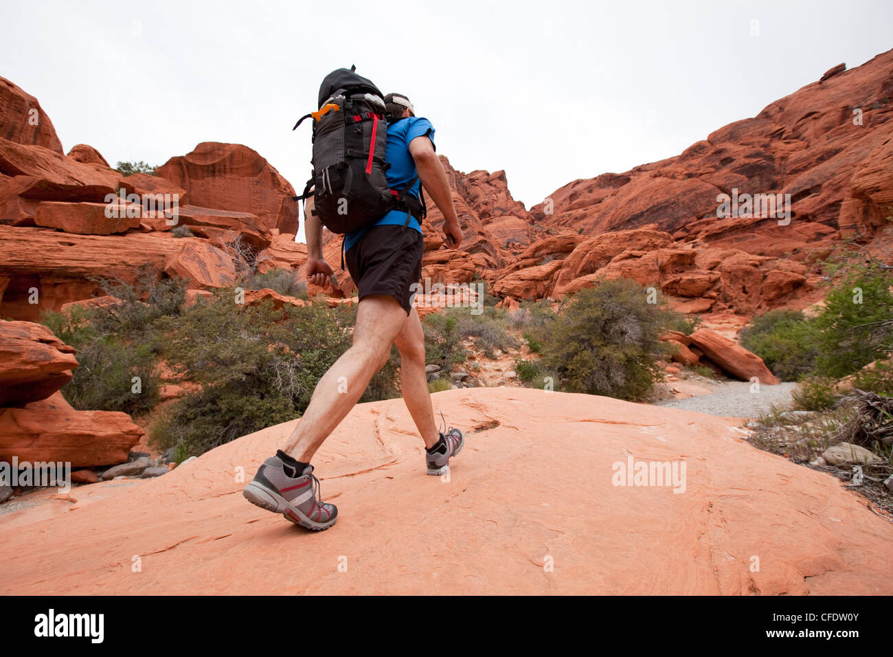 Man hiking through red rocks Stock Photo - Alamy