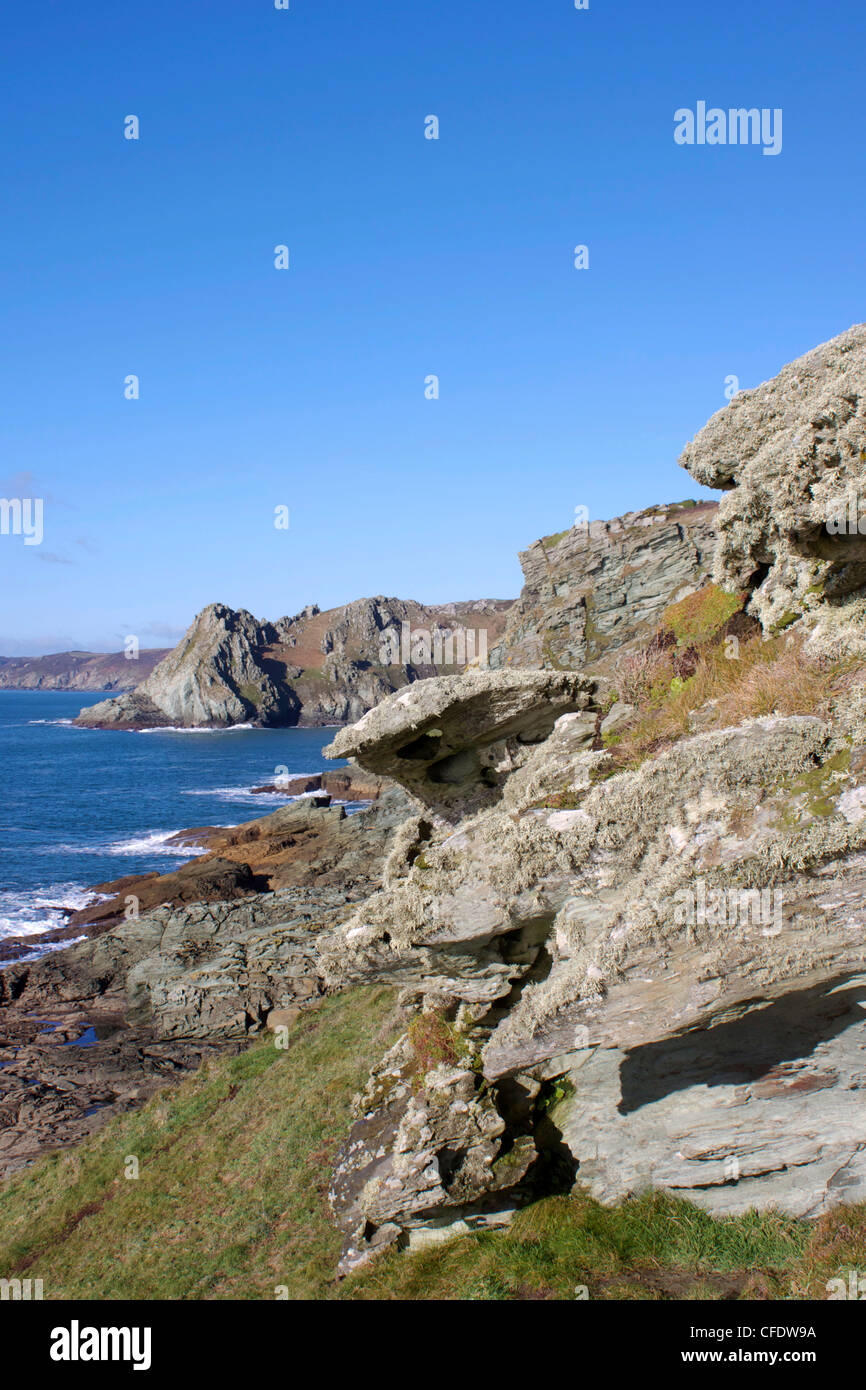 Gammon Head and Bolt Head, Devon, England, United Kingdom, Europe Stock ...