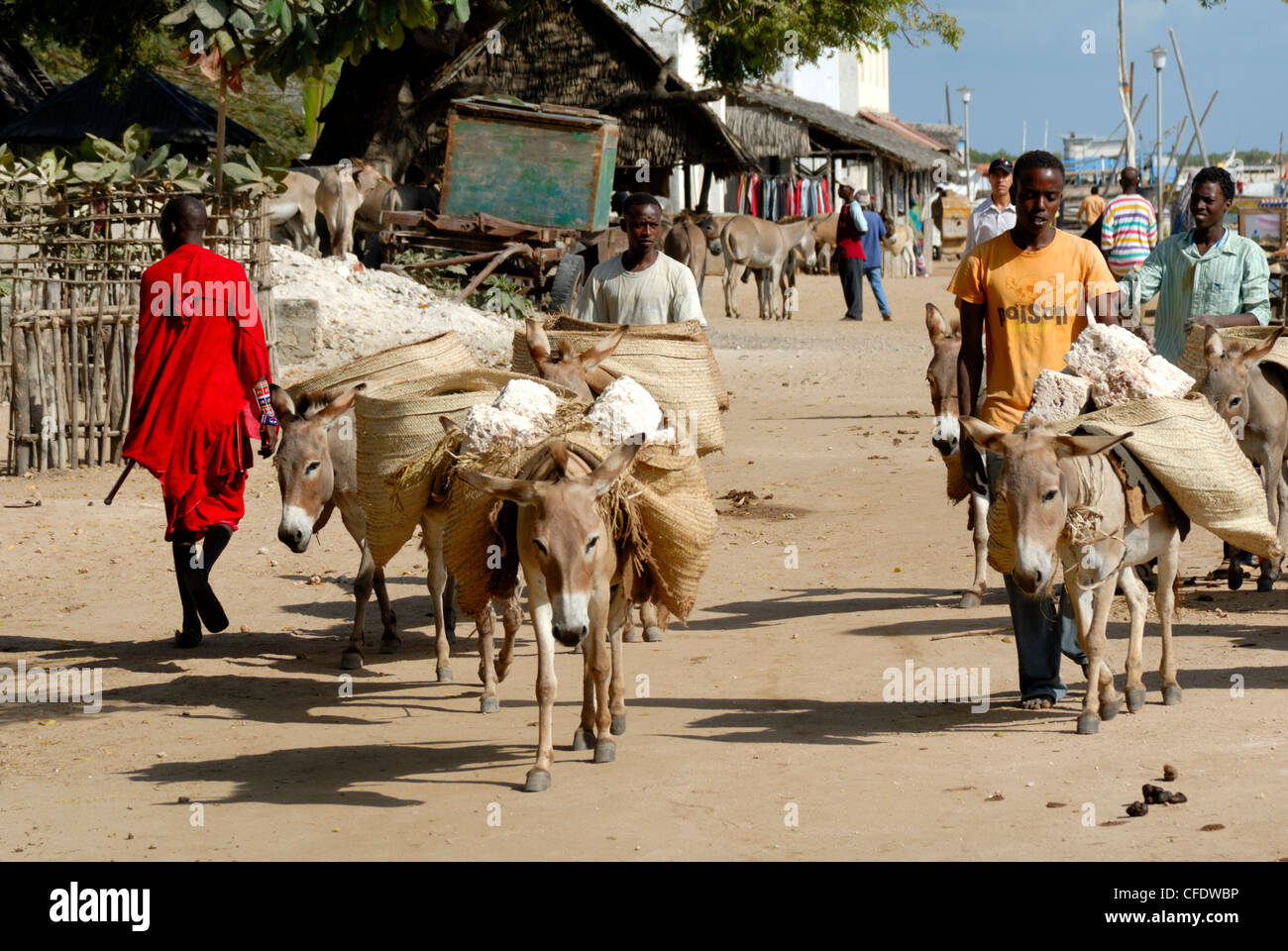 Donkey transport hi-res stock photography and images - Alamy