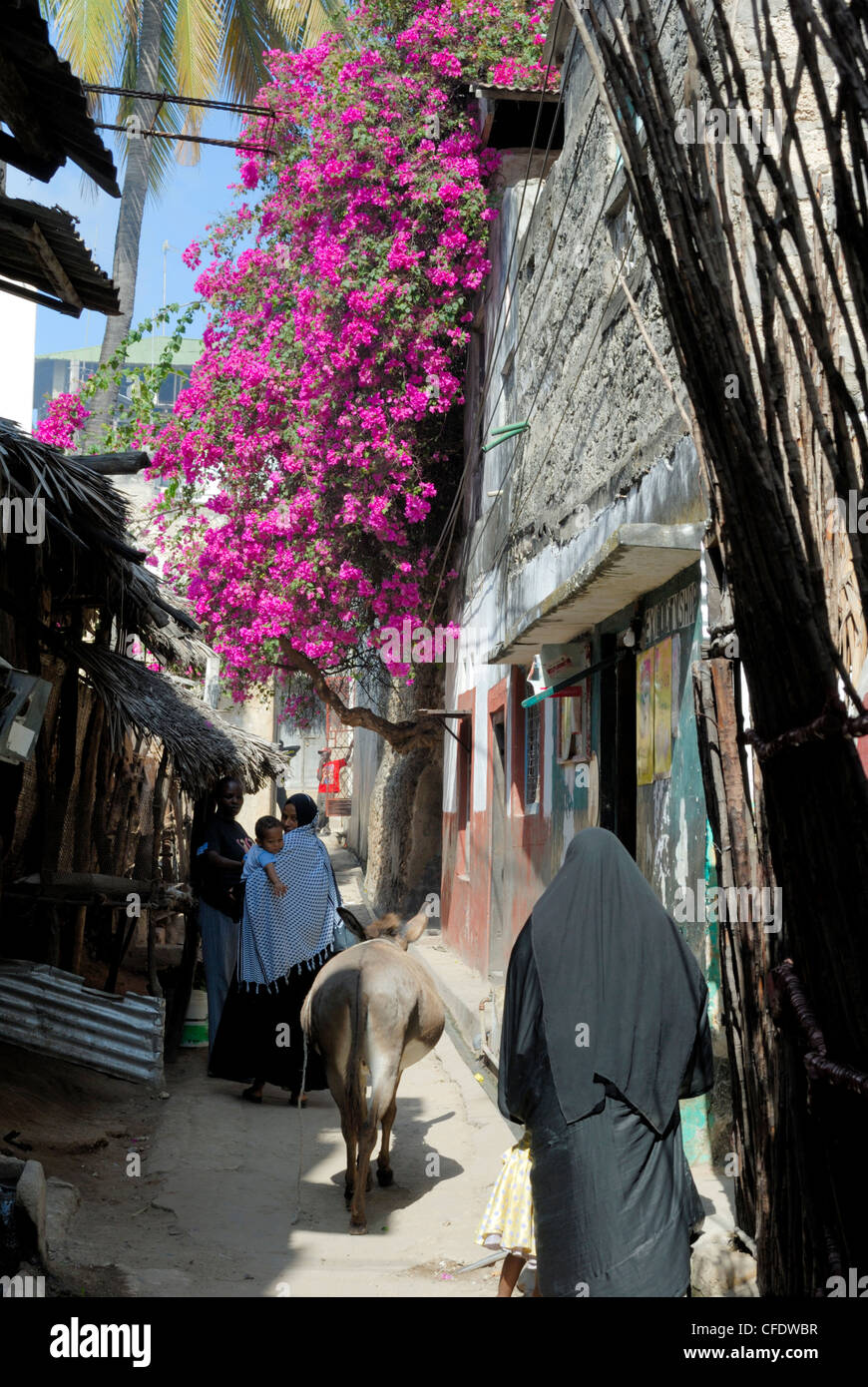 World heritage site lamu africa hi-res stock photography and images - Alamy