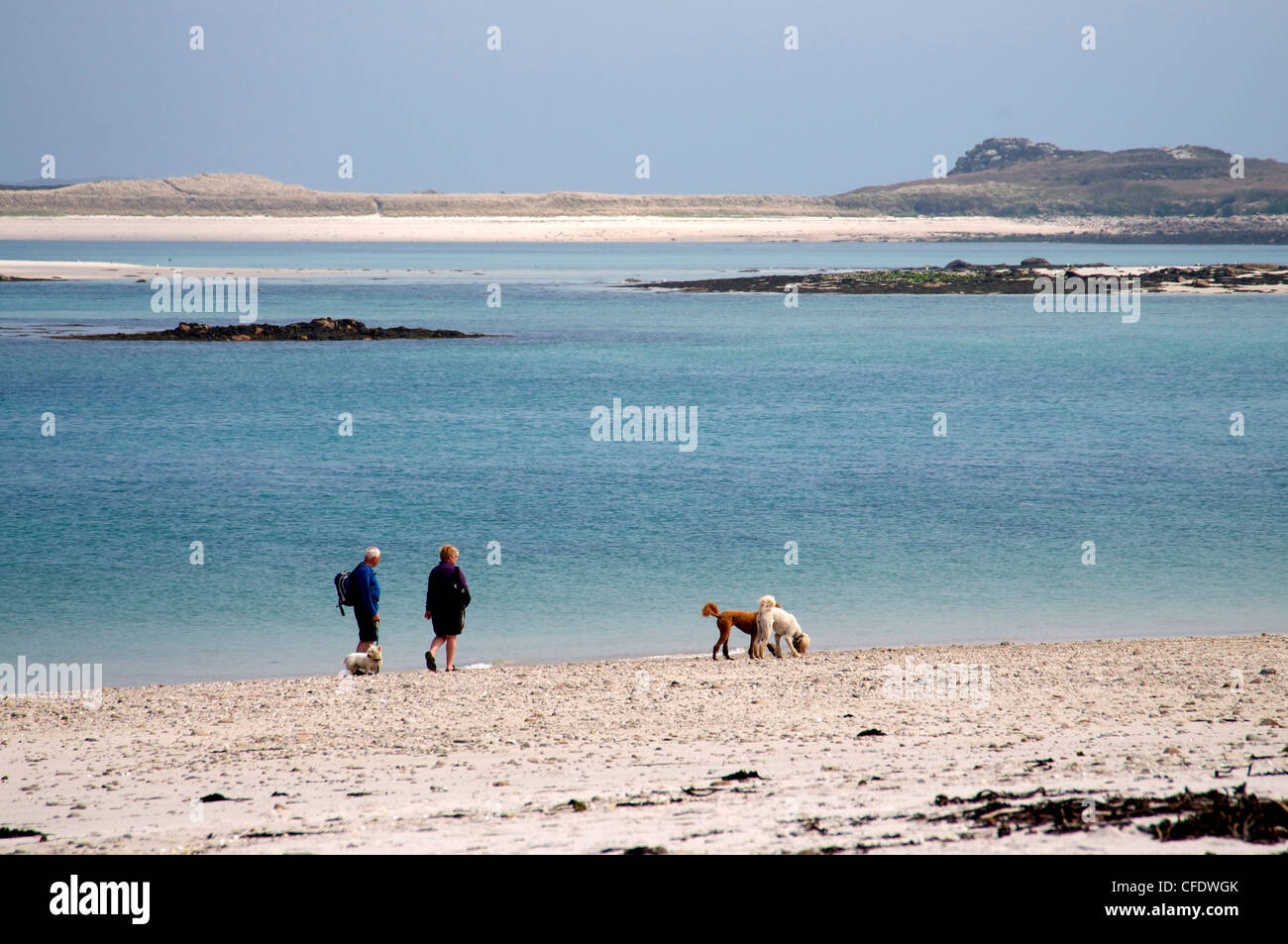 Beach, Samson, Isles of Scilly, United Kingdom, Europe Stock Photo - Alamy