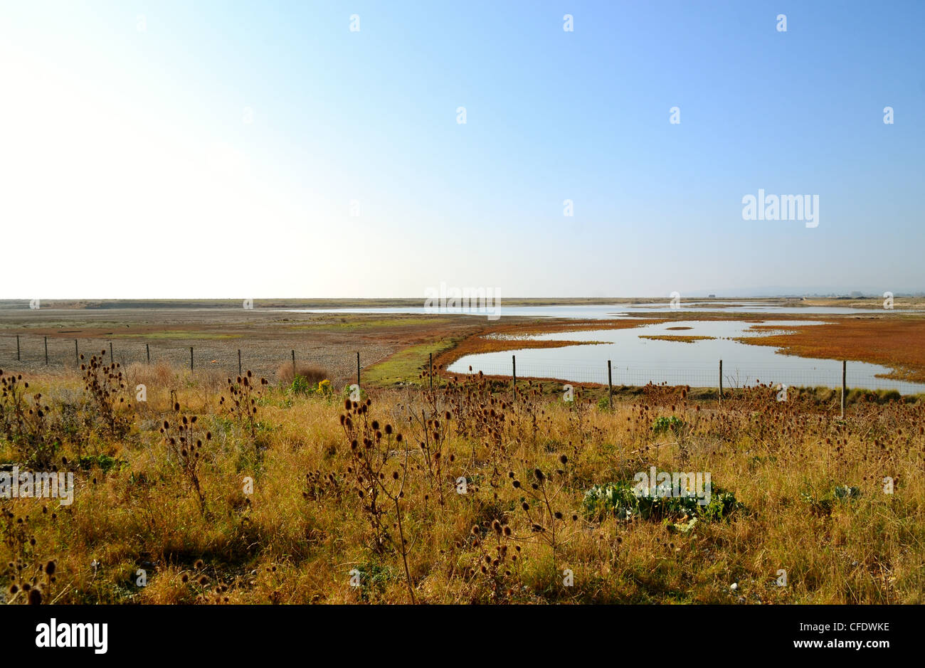 Rye harbour hi-res stock photography and images - Alamy