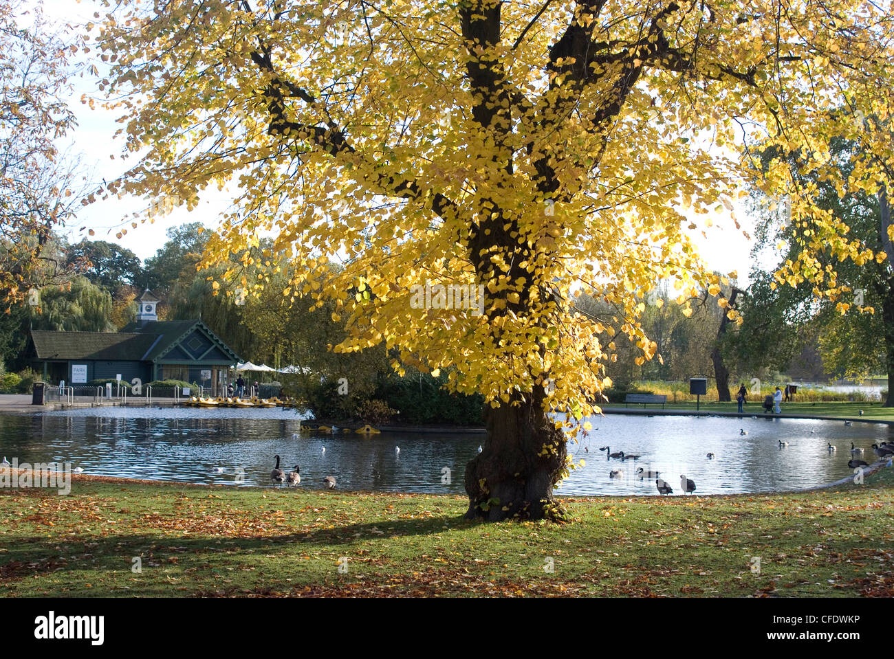 Autumn colours near the boat house, Regent's Park, London NW1, England ...