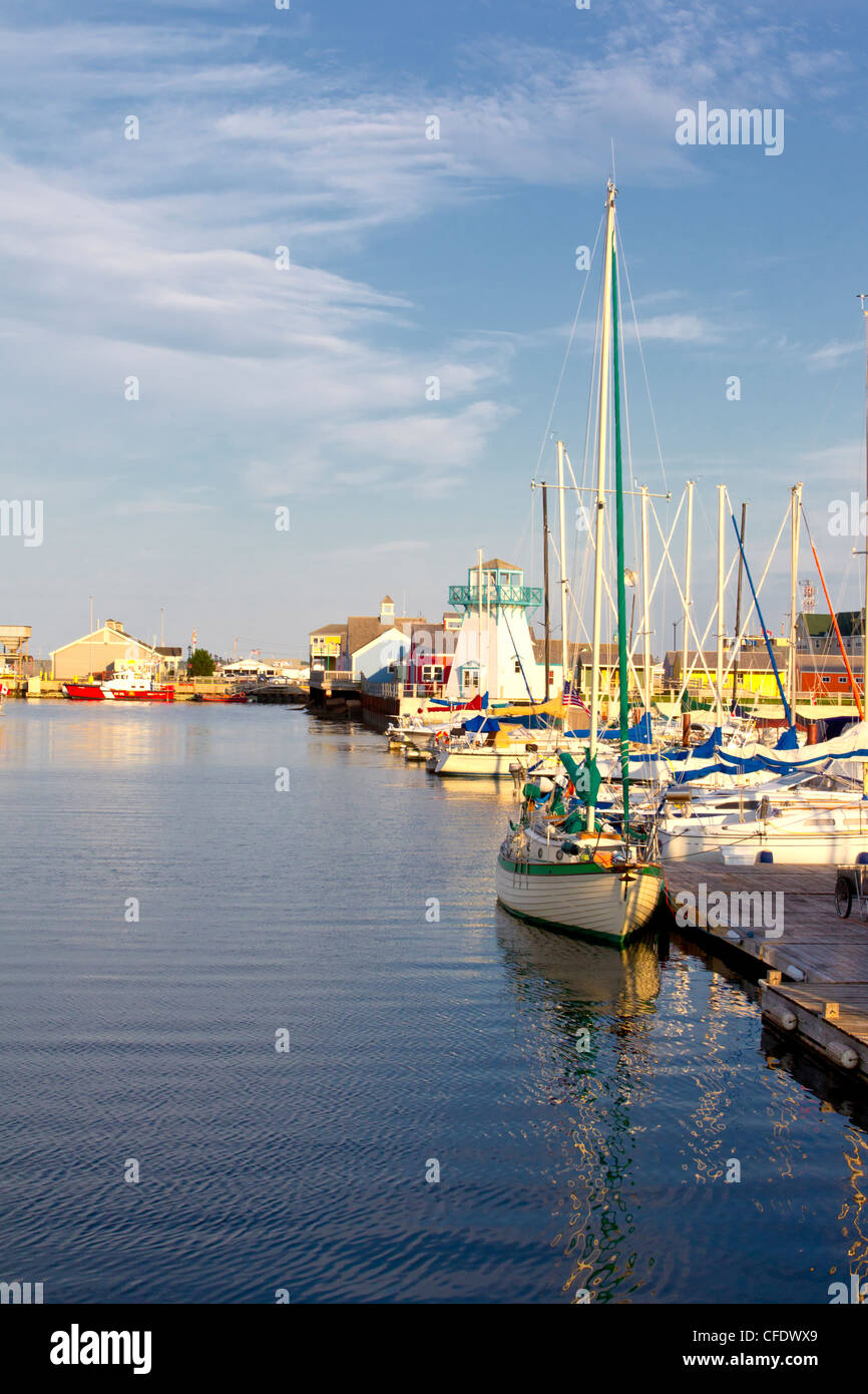 Silver fox hi-res stock photography and images - Alamy
