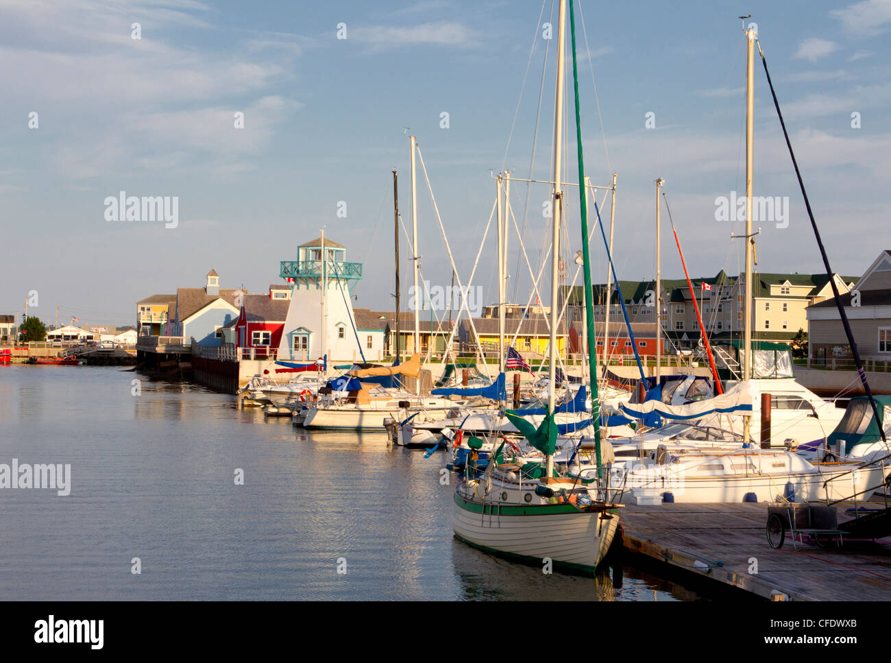 Silver fox hi-res stock photography and images - Alamy