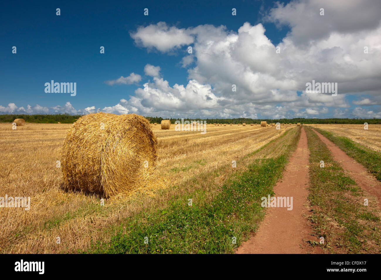 Skinners pond hi-res stock photography and images - Alamy