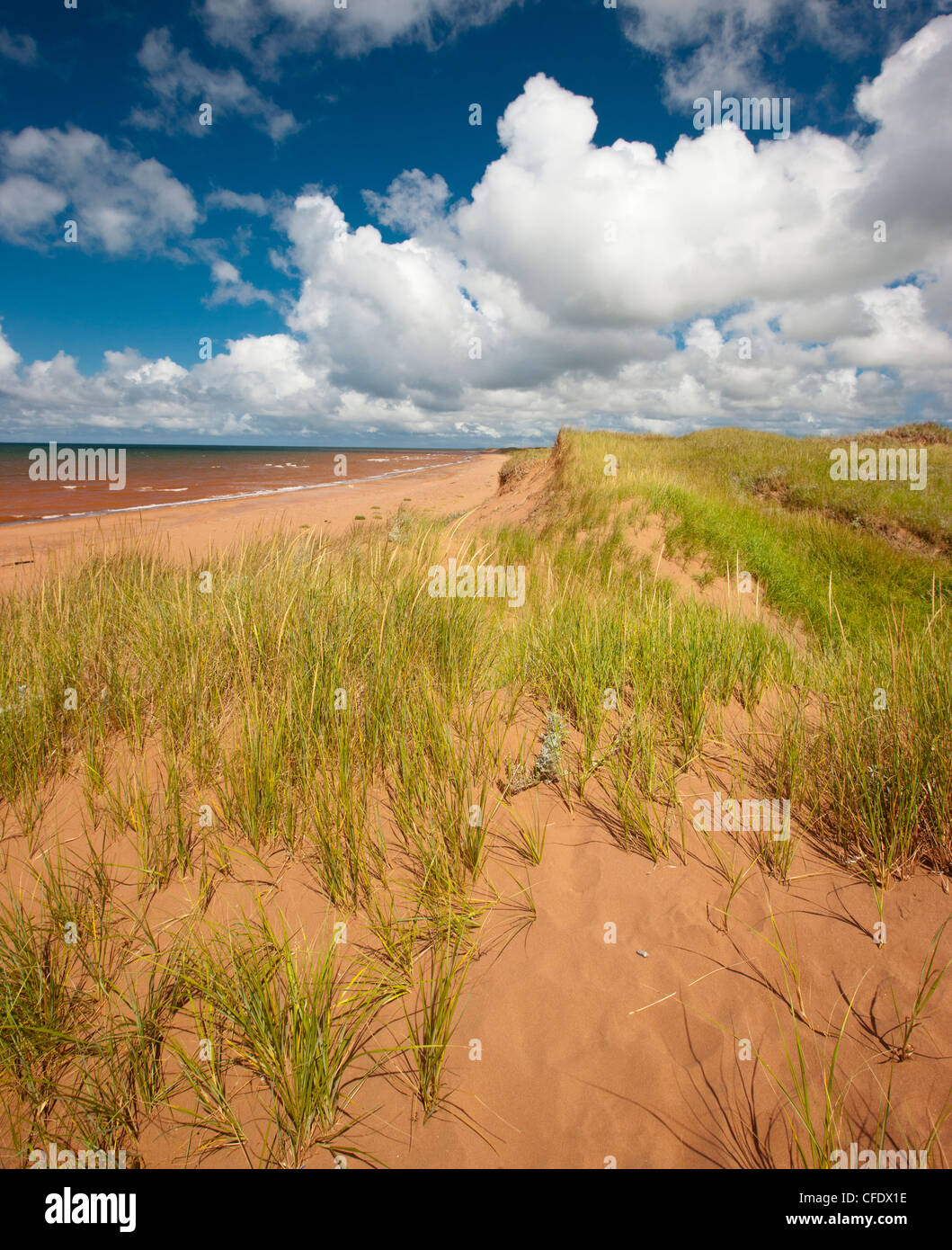 Skinners hi-res stock photography and images - Alamy