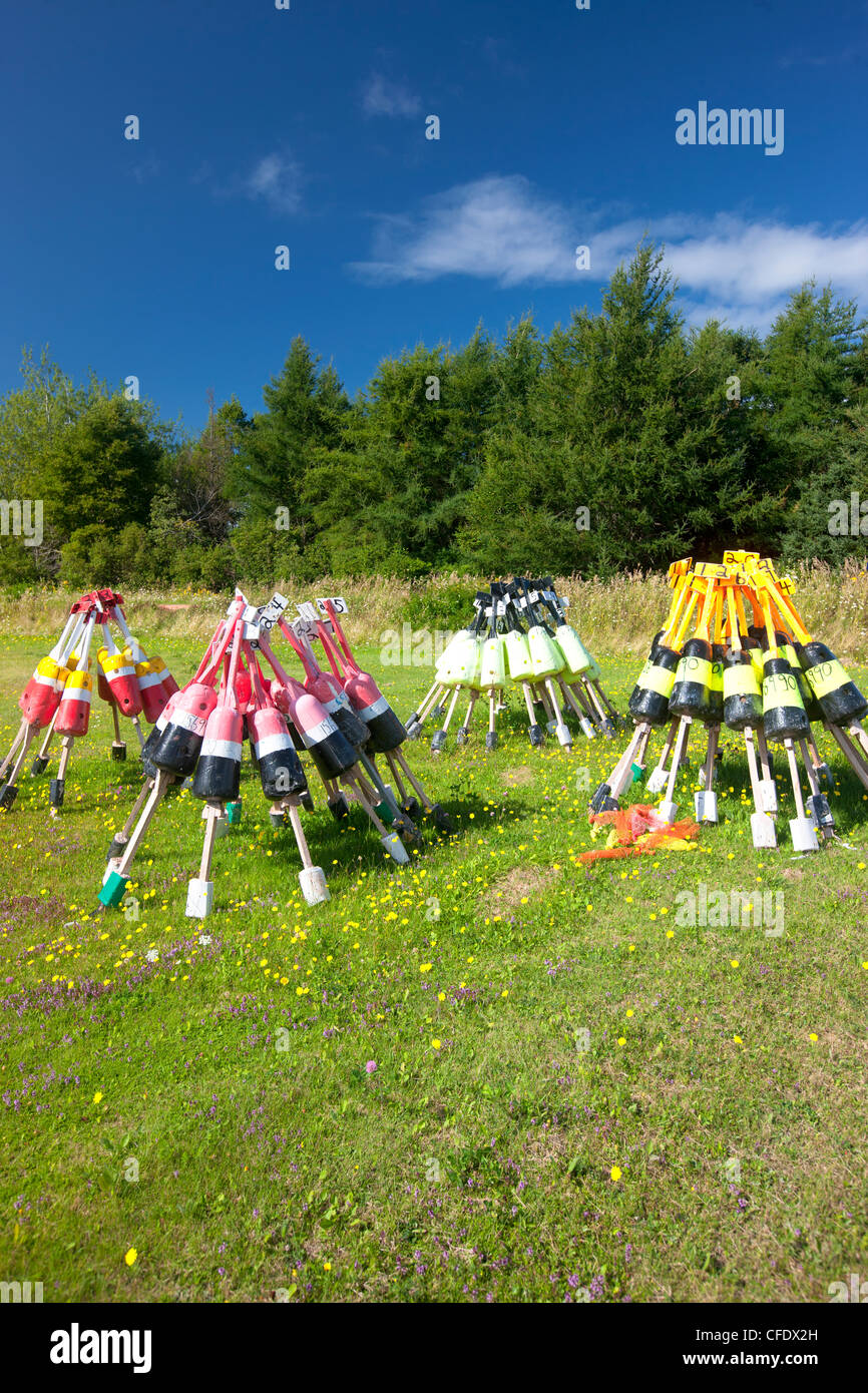 Seacow pond hi-res stock photography and images - Alamy