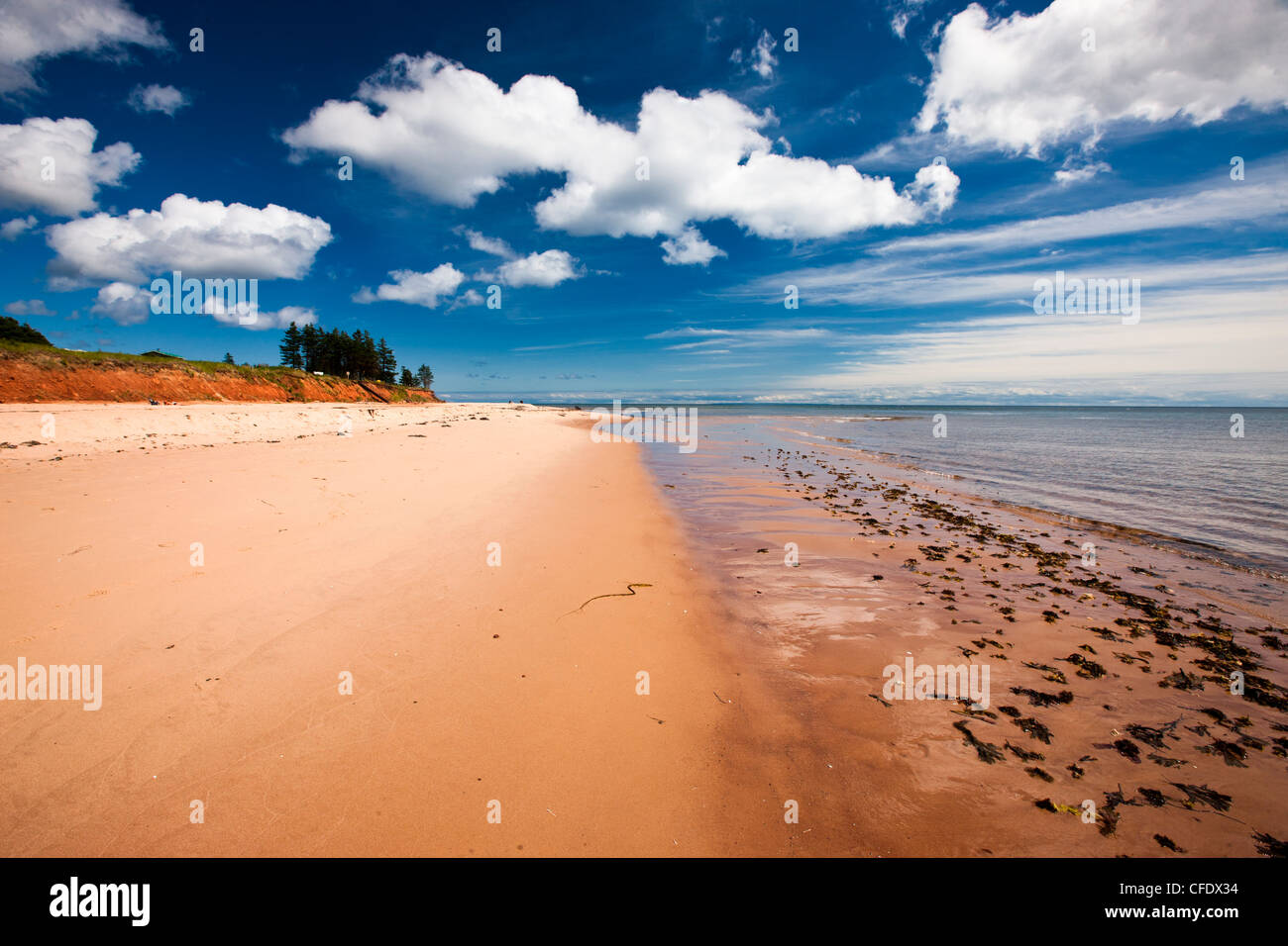 Red Point Beach Provincial Park High Resolution Stock Photography and ...