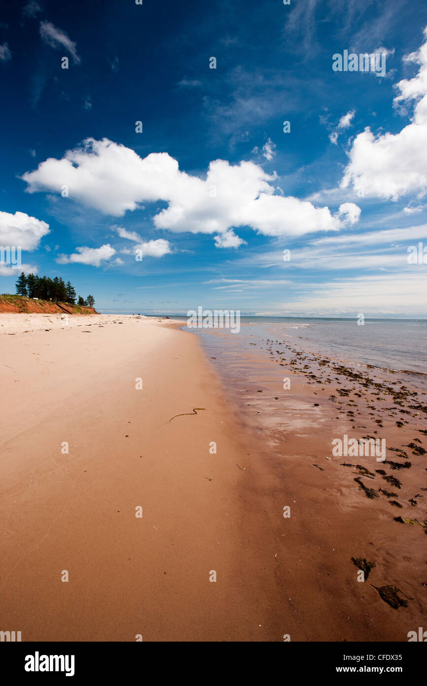 Beach, Red Point Provincial Park, Prince Edward Island, Canada Stock ...