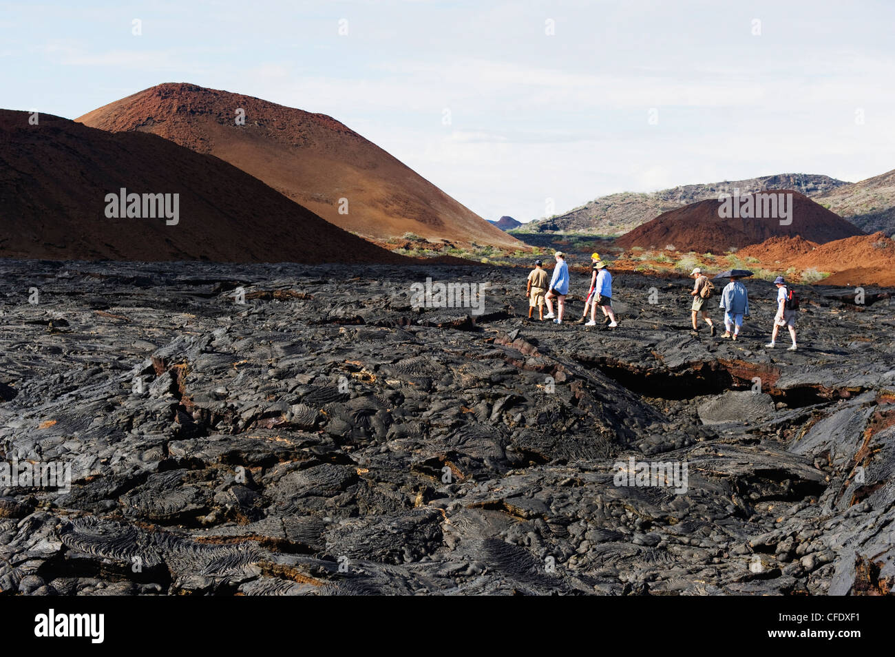 Tourists walking on lava flow on Isla Santiago, Sullivan Bay, Galapagos ...