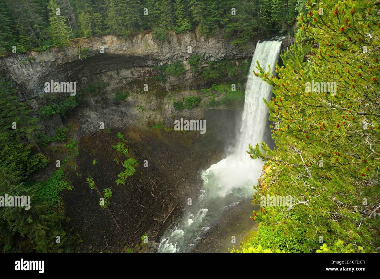 Daisy lake whistler hi-res stock photography and images - Alamy