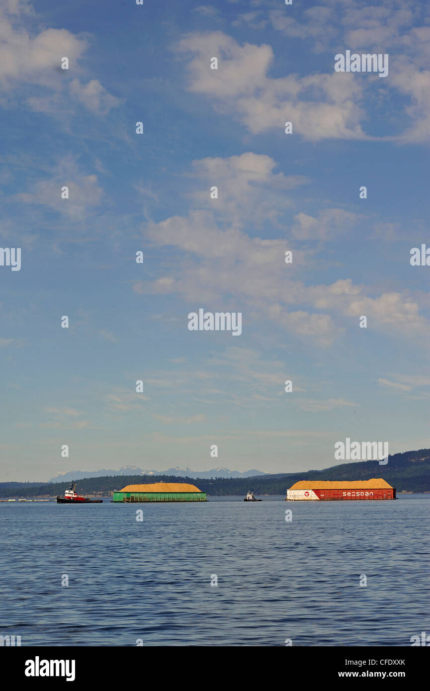 Barges with wood chips going to pulp mill at Crofton, Vancouver Island ...
