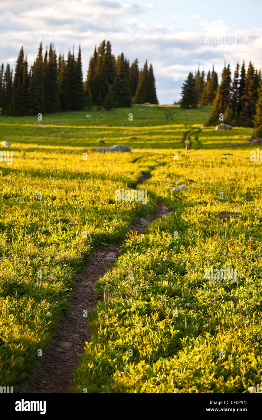 Trophy Mountain, Wells Grey Provincial Park, Clearwater, British ...