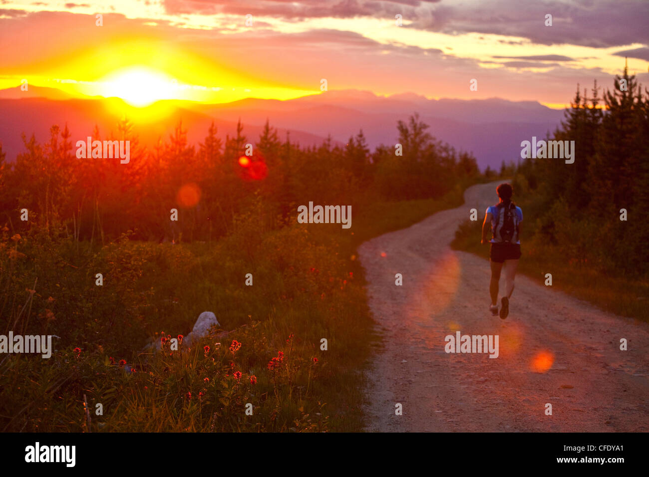 Sun setting behind grey hi-res stock photography and images - Alamy