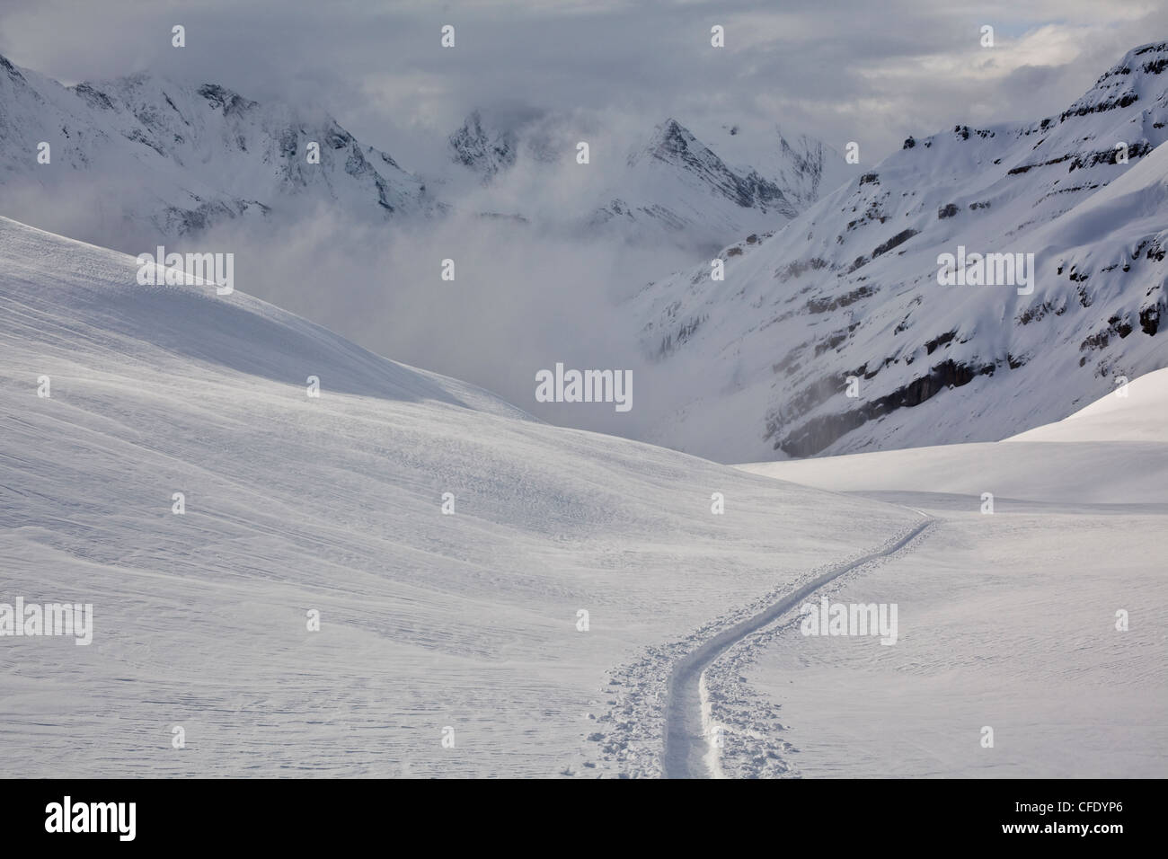 An early morning skin track. Icefall Lodge, British Columbia, Canada ...
