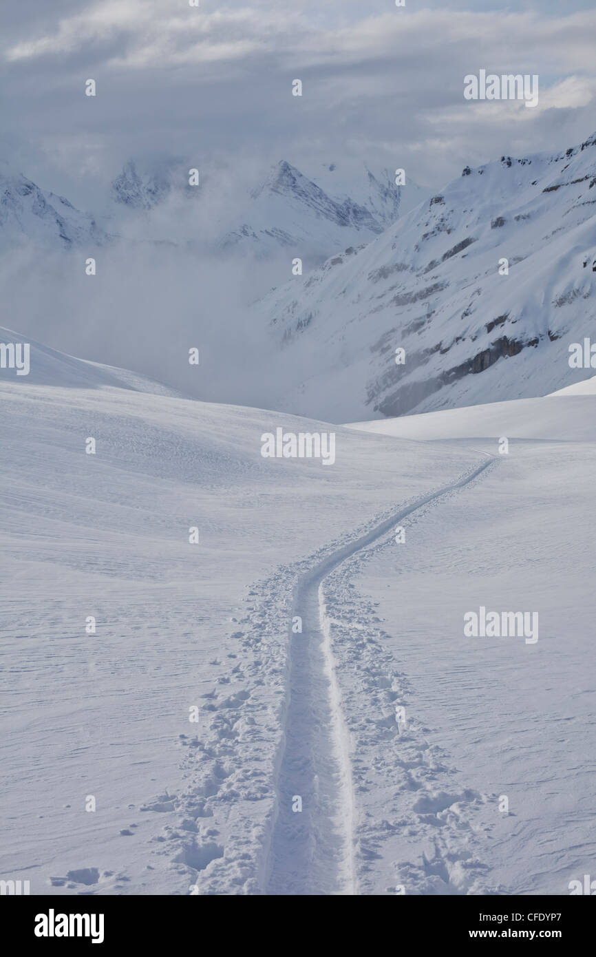An early morning skin track. Icefall Lodge, British Columbia, Canada ...