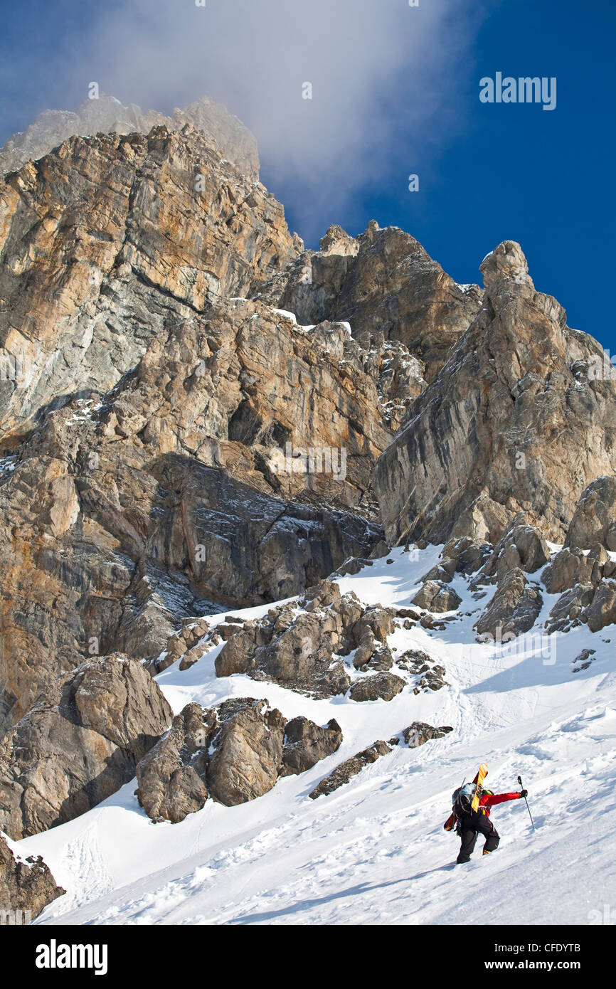 A female backcountry skier bootpacks up a steep alpine couloir. Icefall ...