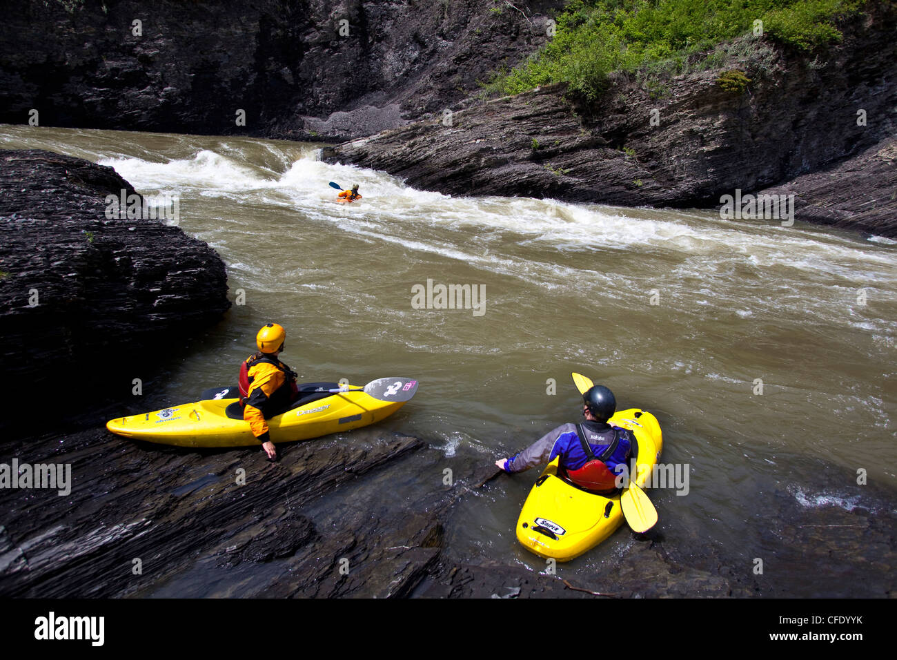 Whitewater kayakers on the highwood river, Alberta, Canada Stock Photo ...