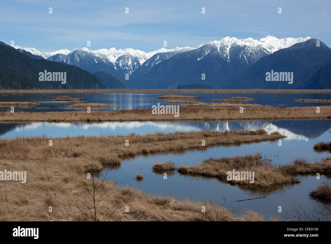 Lower mainland regional hi-res stock photography and images - Alamy