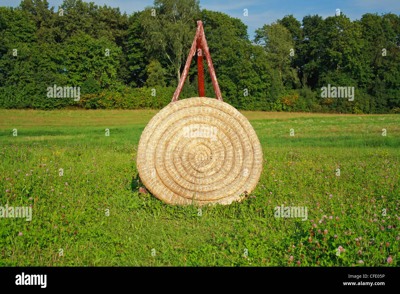 Master shield hi-res stock photography and images - Alamy