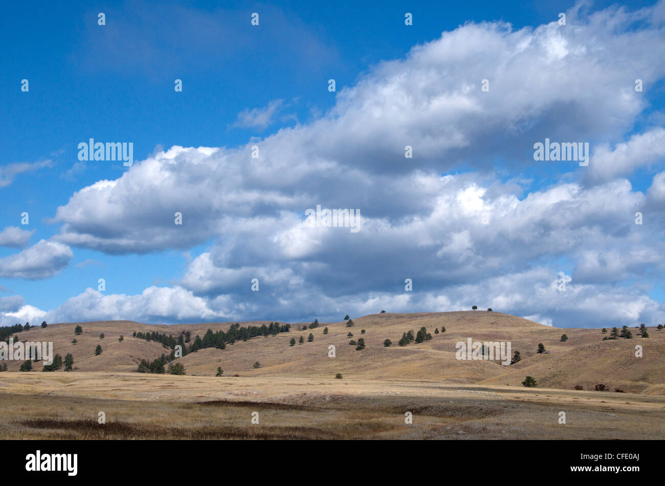 Scenic of prairie grasslands and clouds in Wind Cave National Park ...