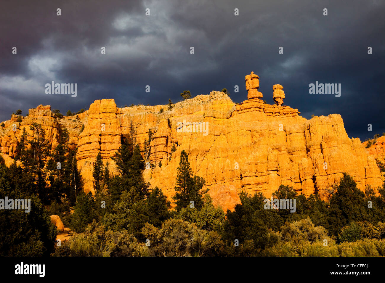 Red Canyon, Dixie National Forest, Utah, USA Stock Photo - Alamy