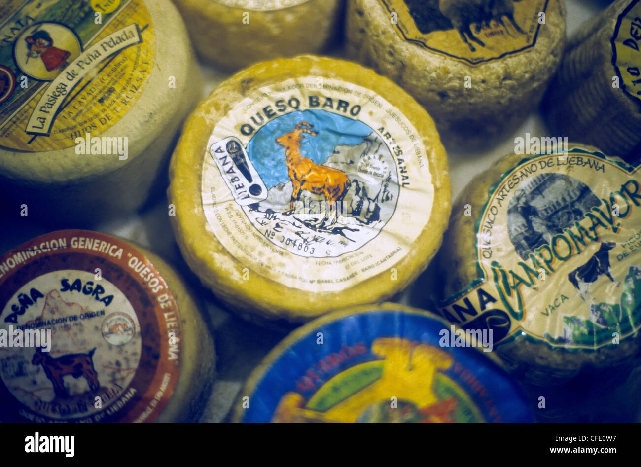 Round circular cheese cheeses hi-res stock photography and images - Alamy