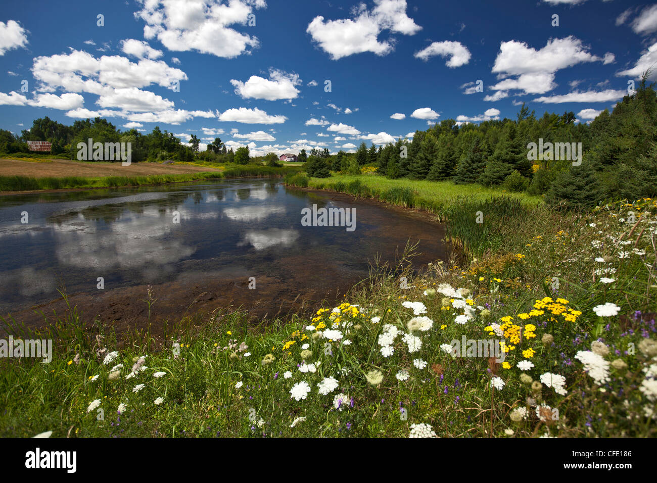 Port Howe, Sunrise Trail, Nova Scotia, Canada Stock Photo - Alamy