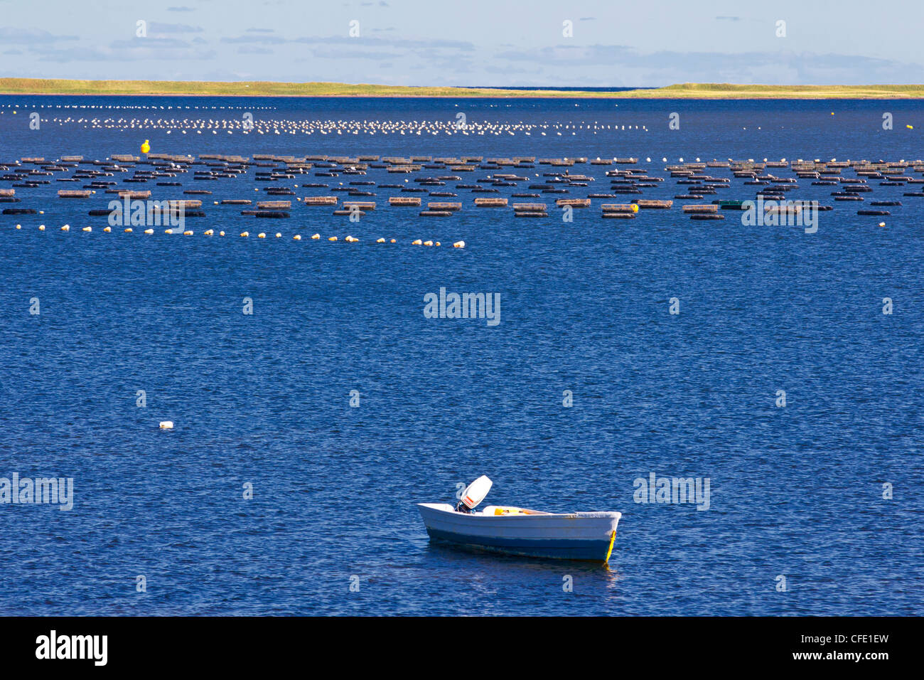 Kent county new brunswick hi-res stock photography and images - Alamy
