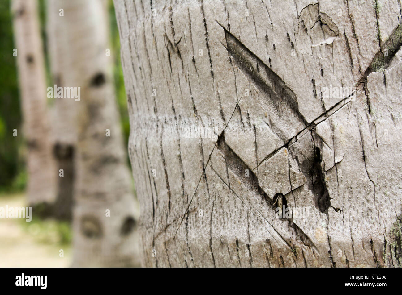 Slash marks hi-res stock photography and images - Alamy