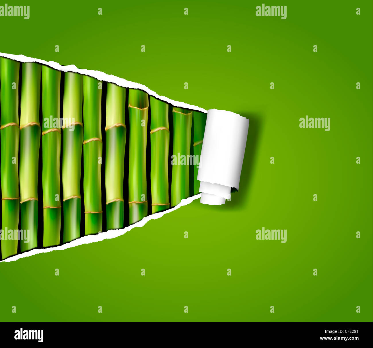 Bamboo background with ripped paper Stock Photo - Alamy