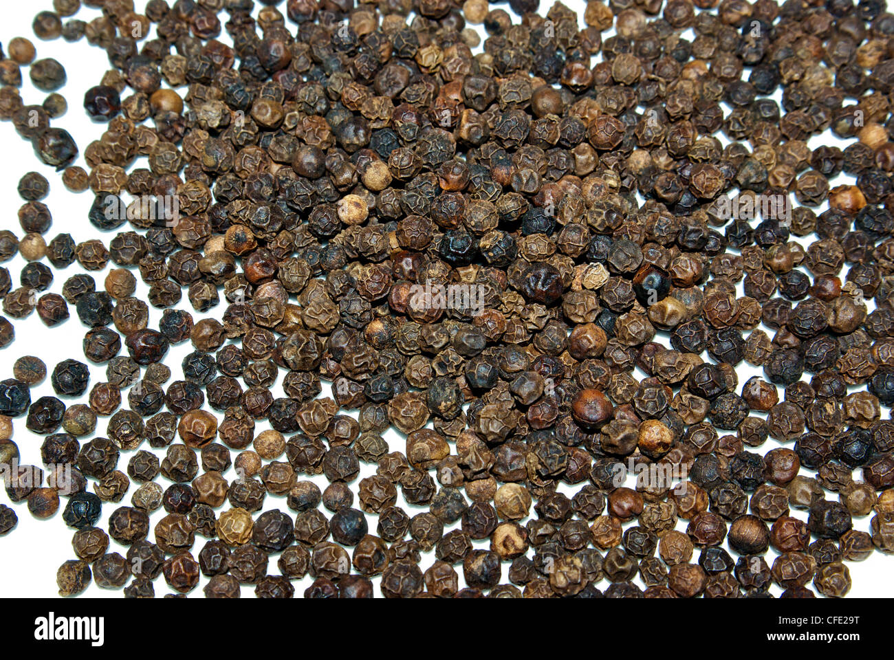 Dried black peppercorn seed pods aromatic spice seasoning Piper nigrum ...