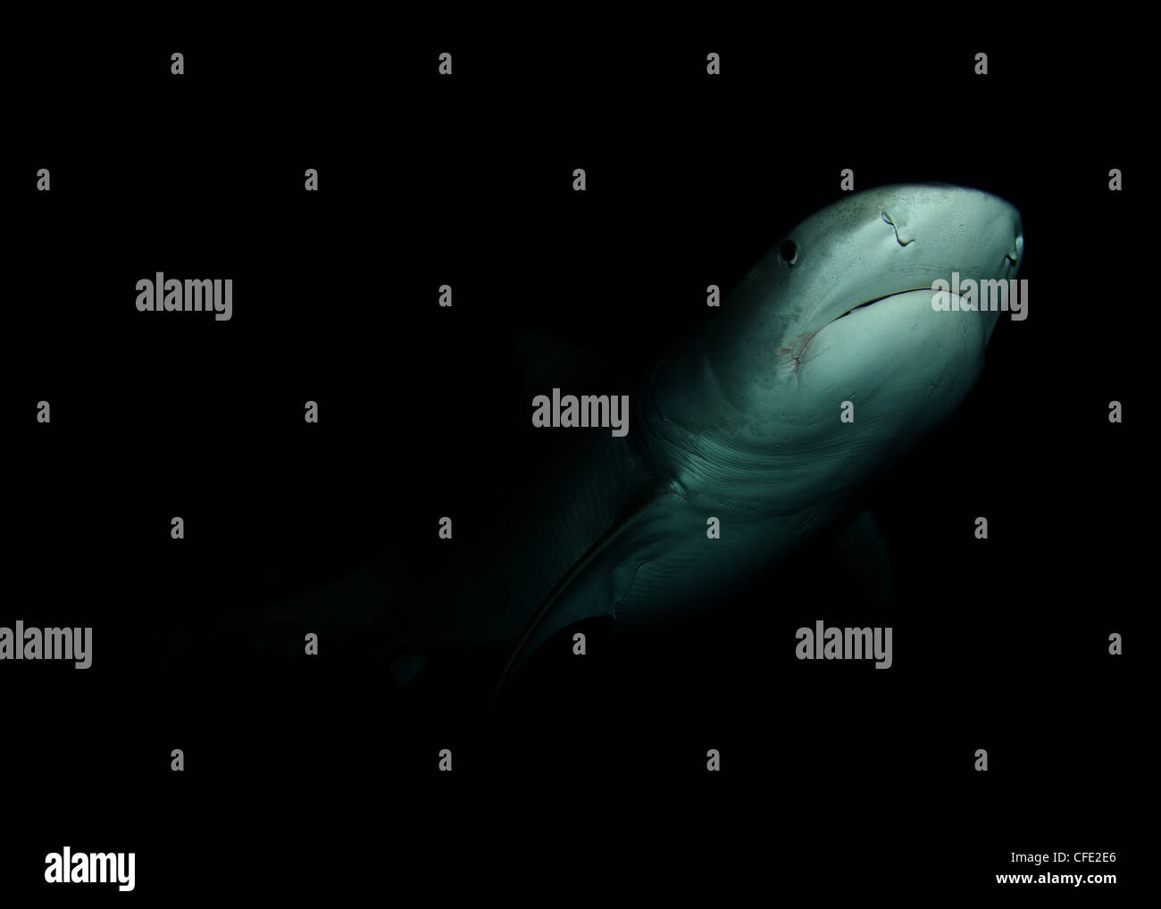 Deep sea dark underwater expedition hi-res stock photography and images ...