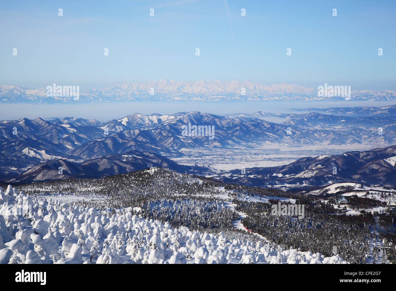 Soft rime hi-res stock photography and images - Alamy