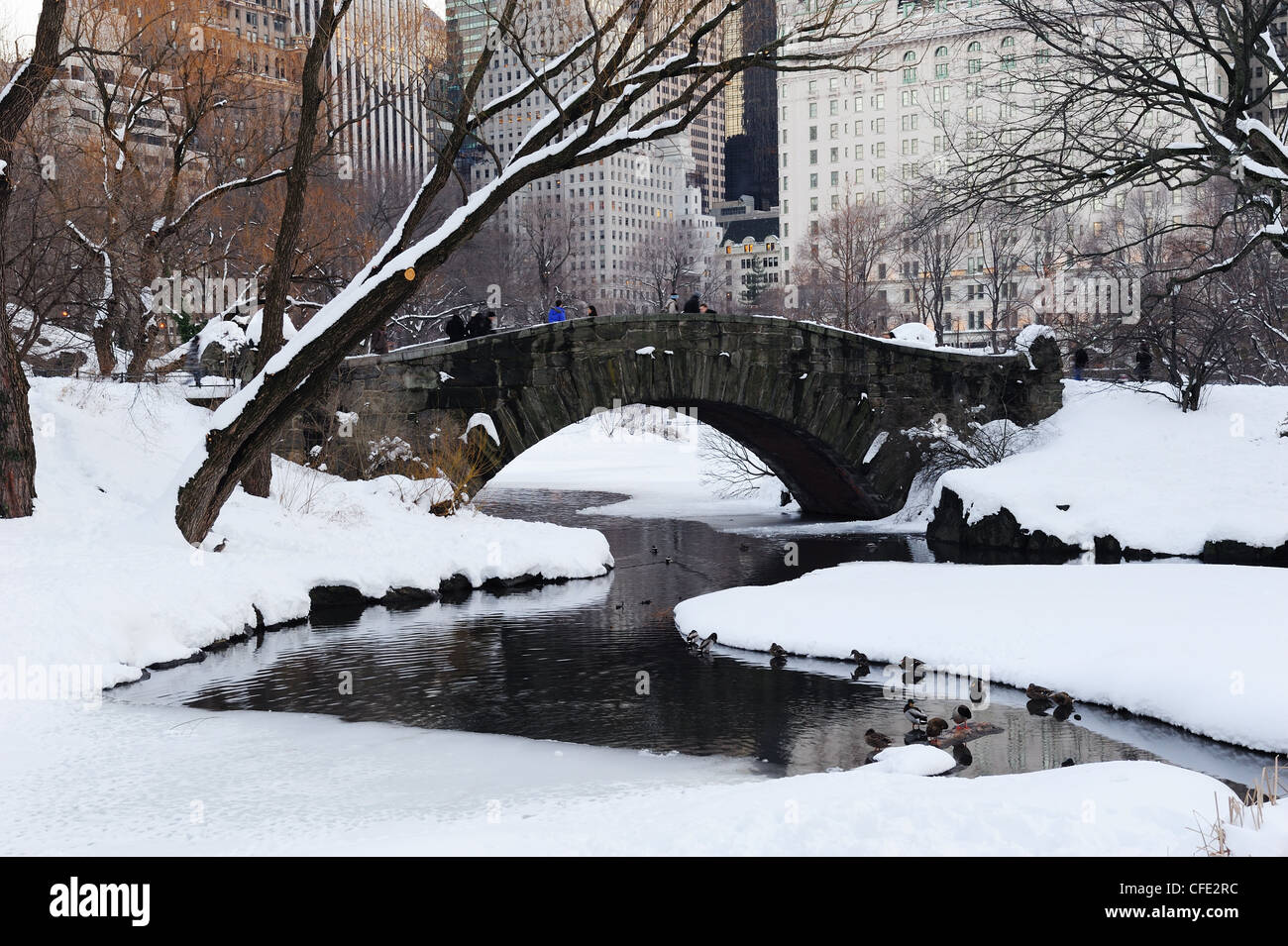 New York City Manhattan Central Park panorama in winter with snow ...