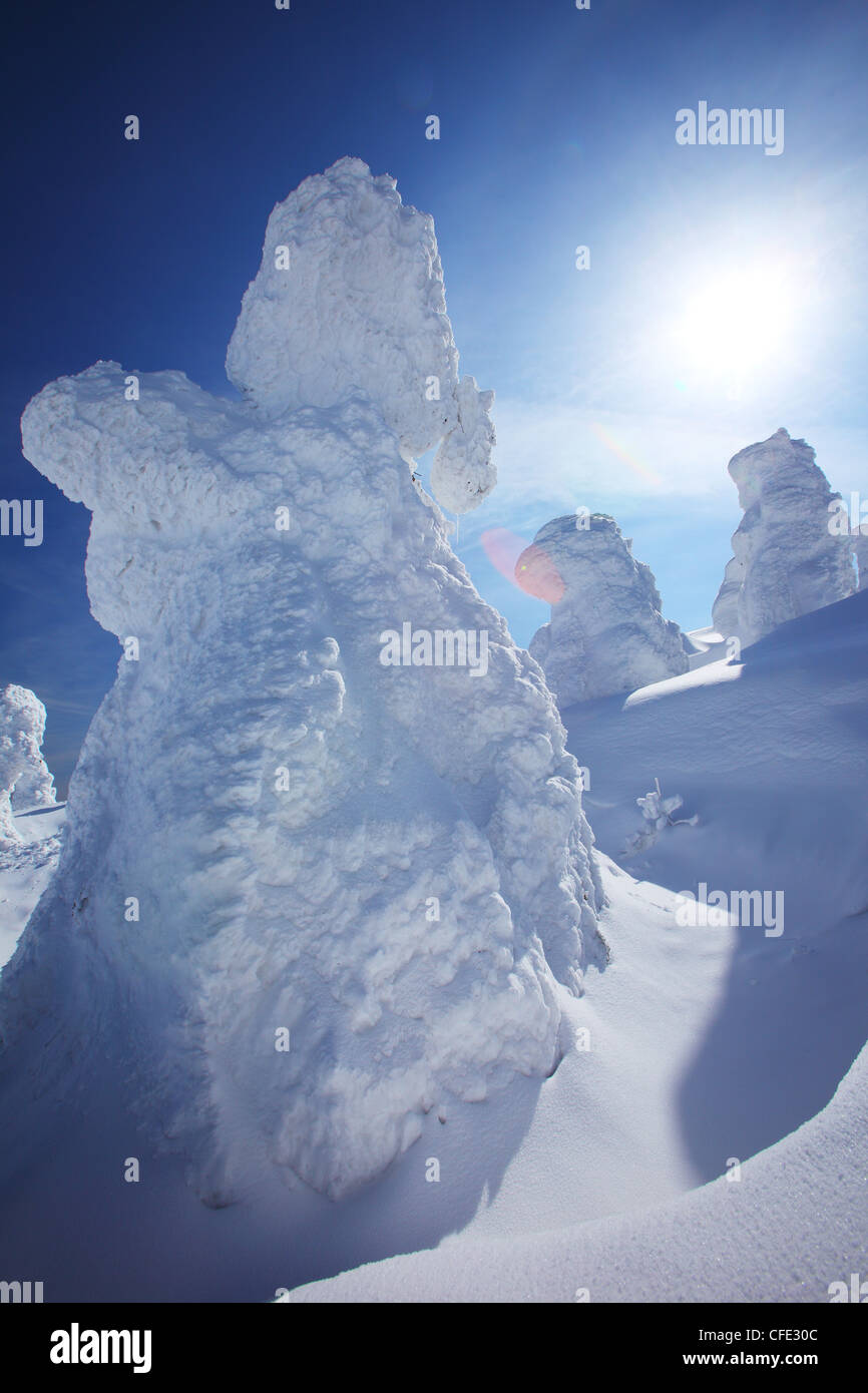 Snow monster on mount Zao, Yamagata Tohoku Japan Stock Photo - Alamy