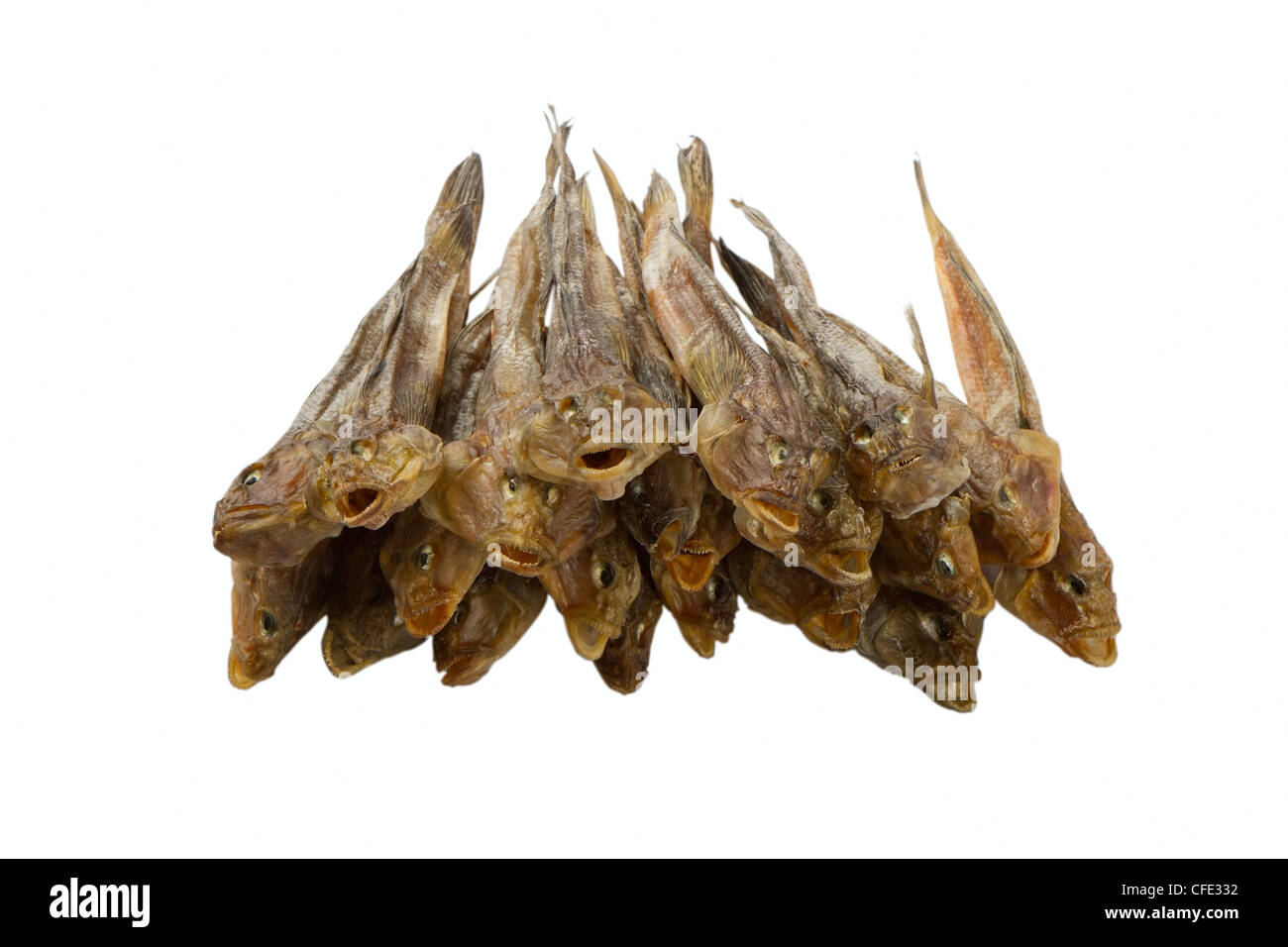 Saline fish Cut Out Stock Images & Pictures - Alamy