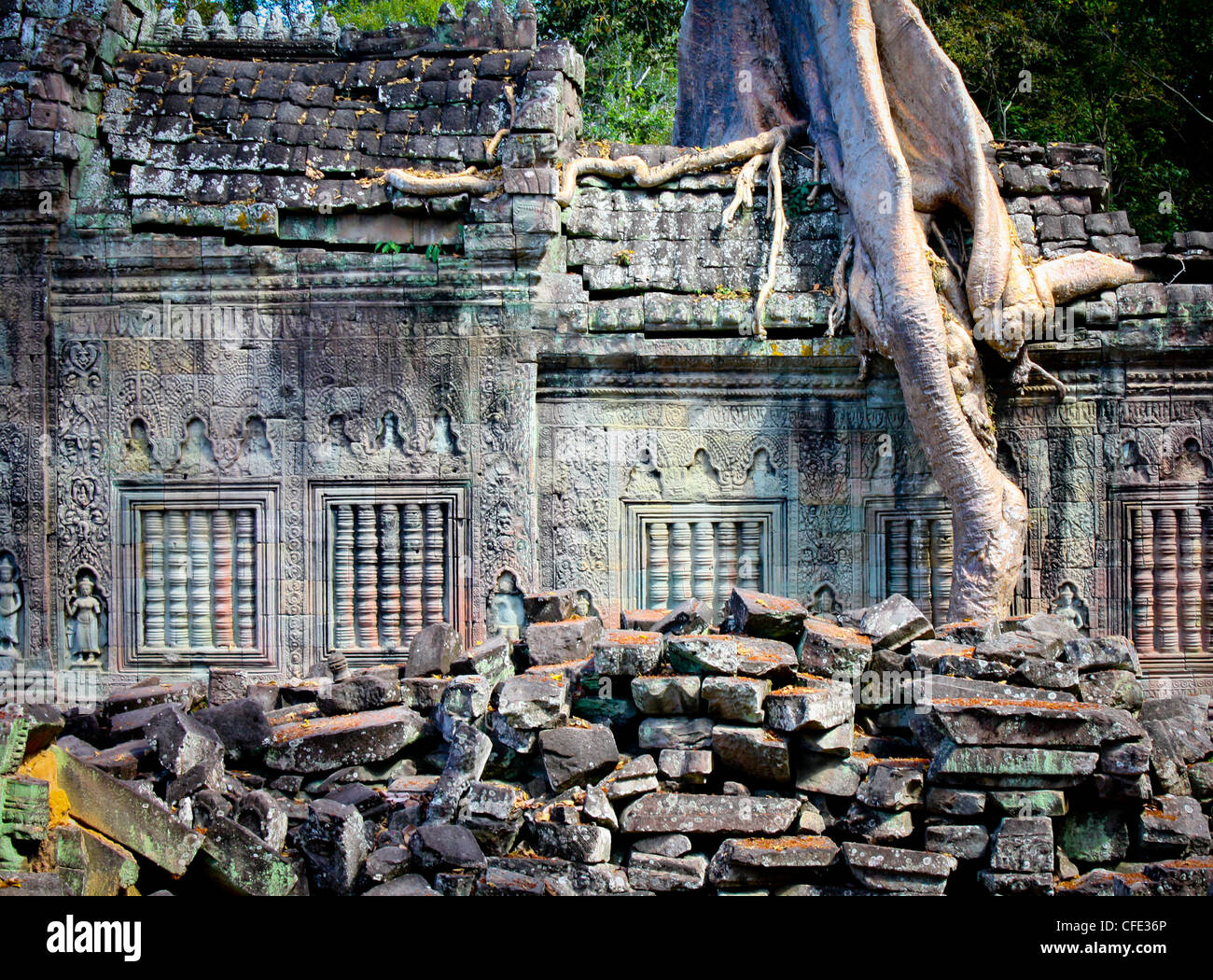 Cambodian temples and tree roots hi-res stock photography and images ...