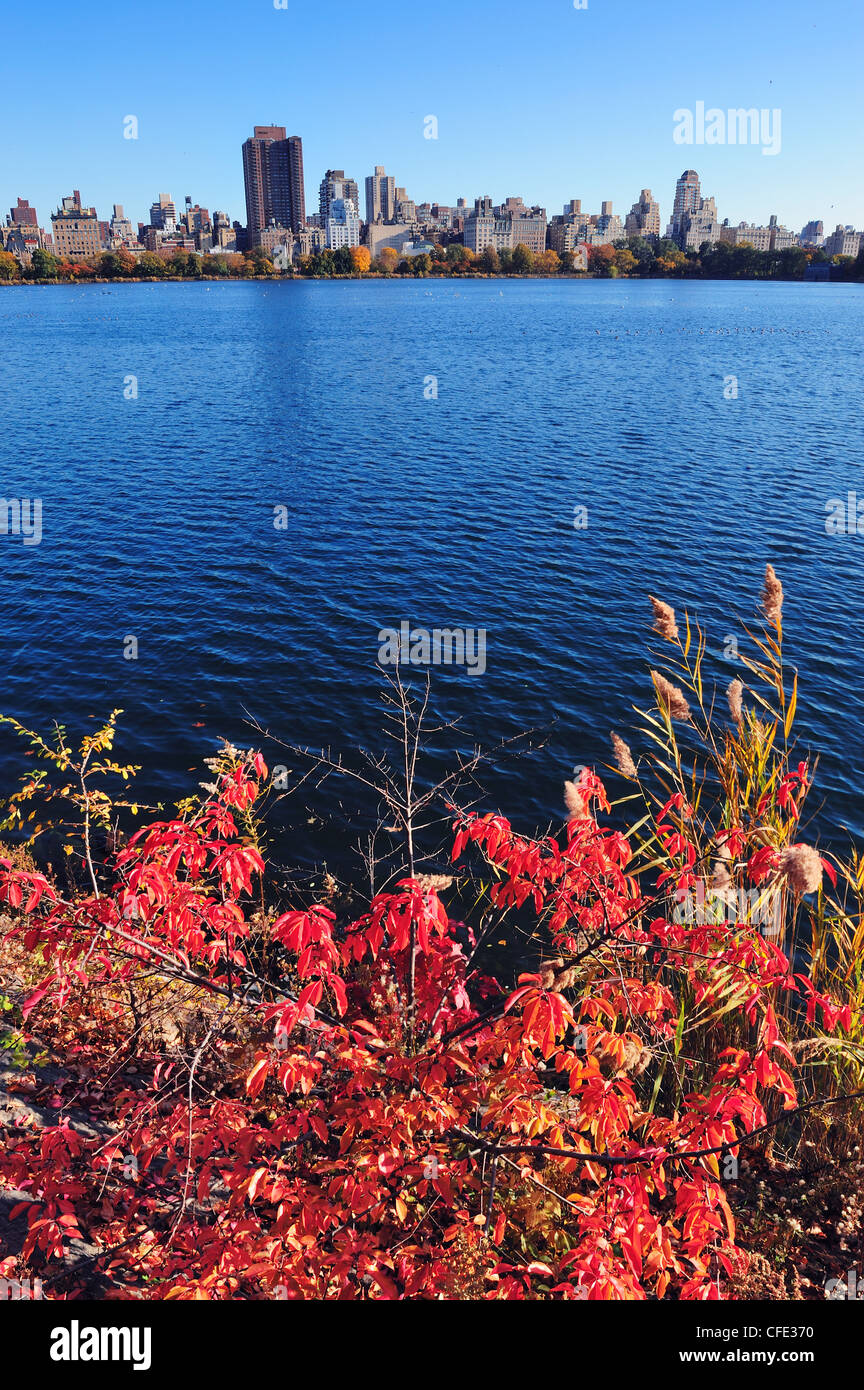 Central Park Autumn with New York City Manhattan Midtown skyline ...
