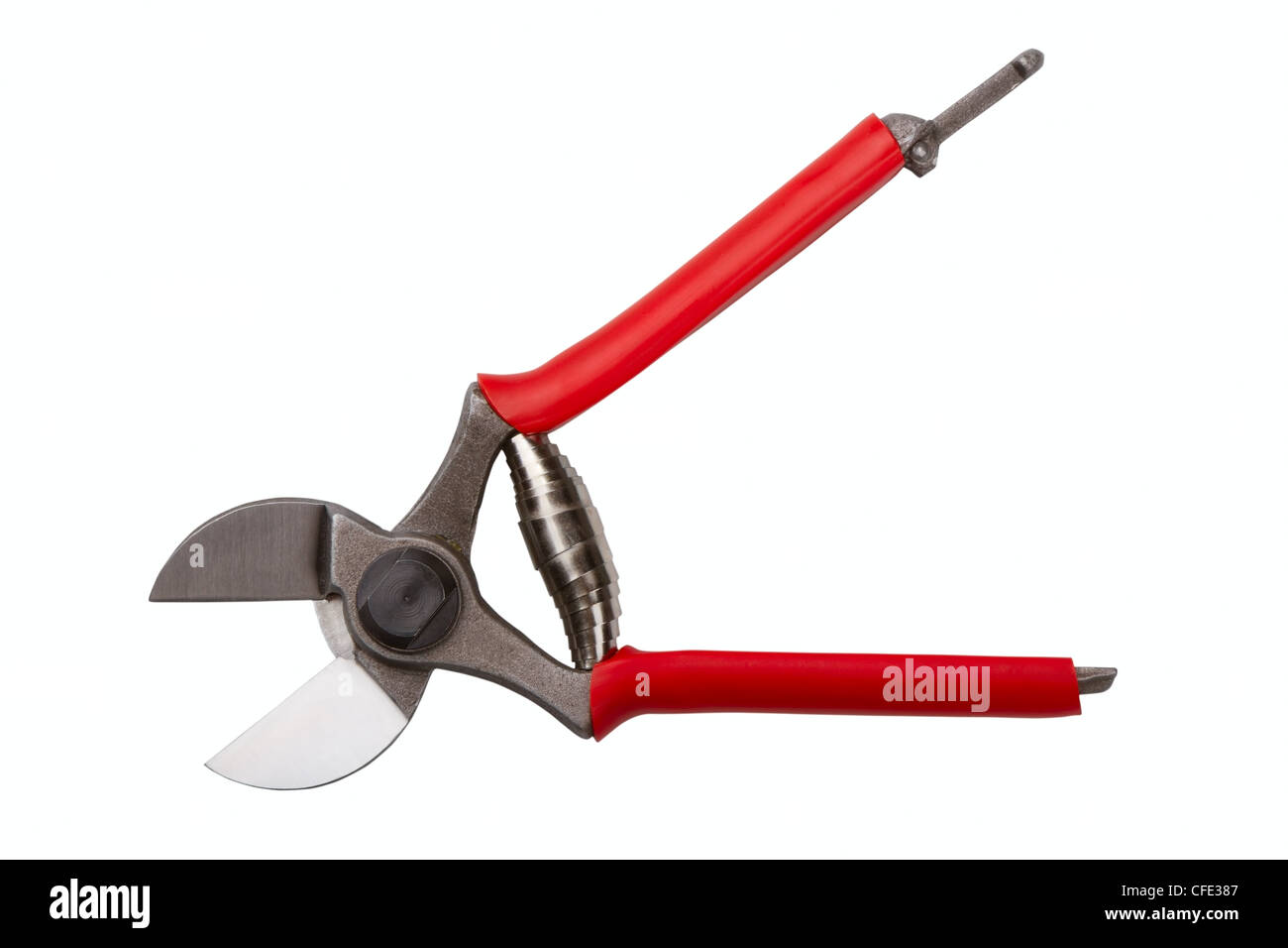 garden secateurs isolated on a white background Stock Photo - Alamy