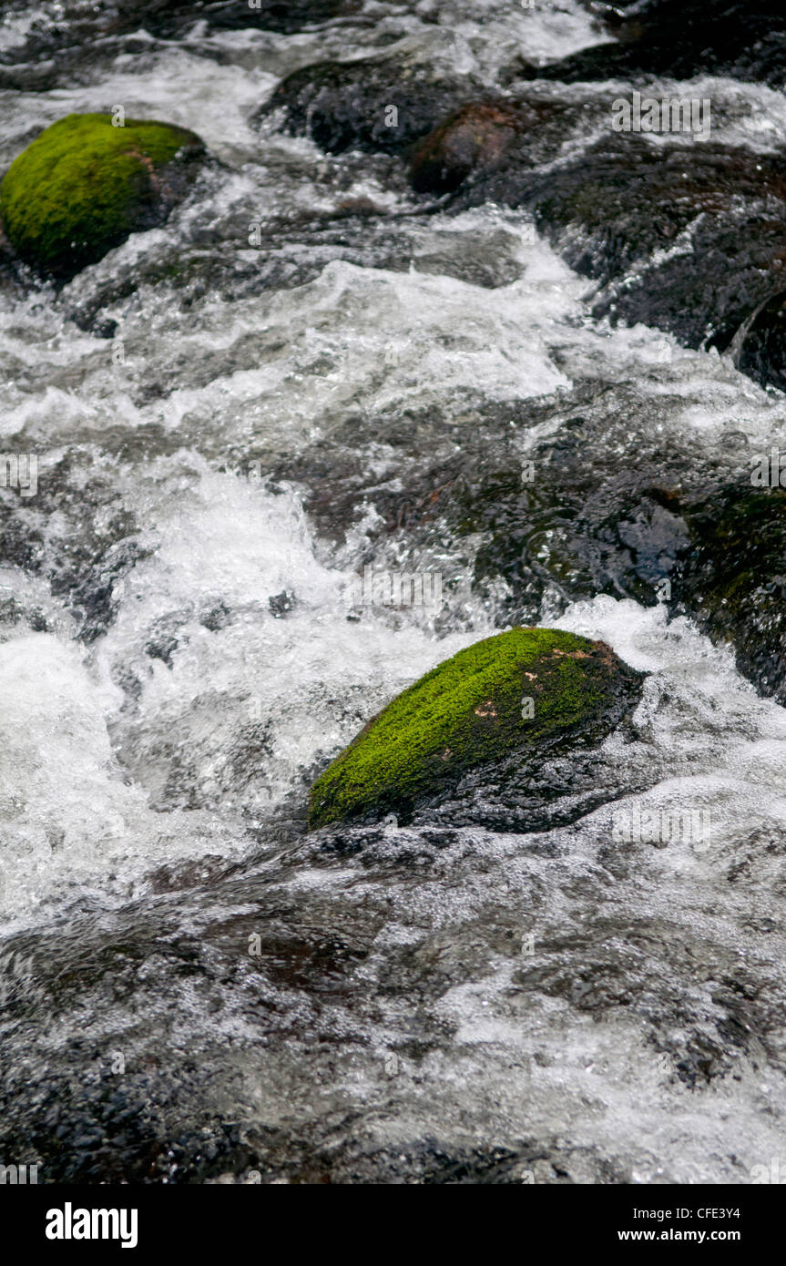 Shutter speed hi-res stock photography and images - Alamy