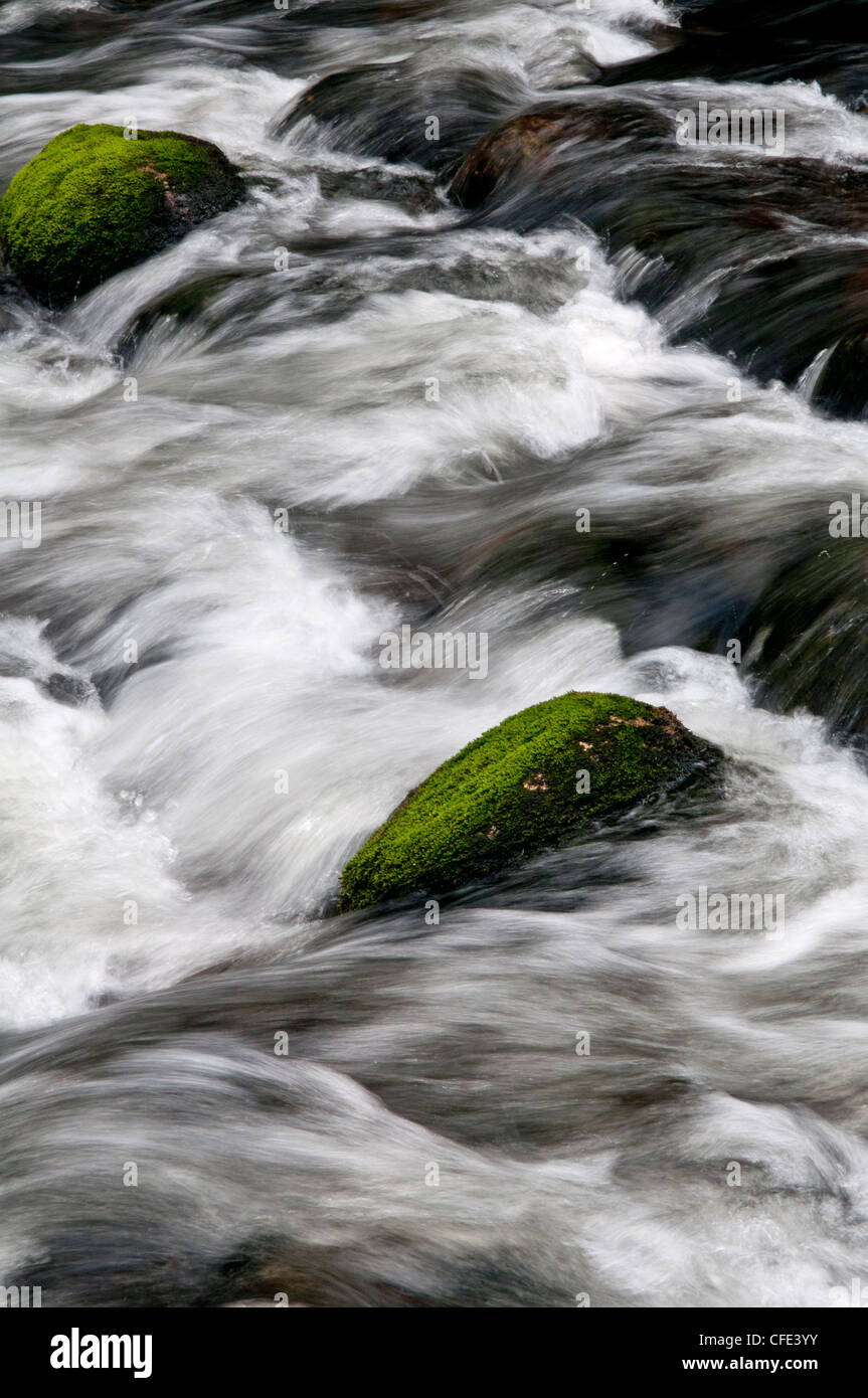 Slow shutter technique hi-res stock photography and images - Alamy