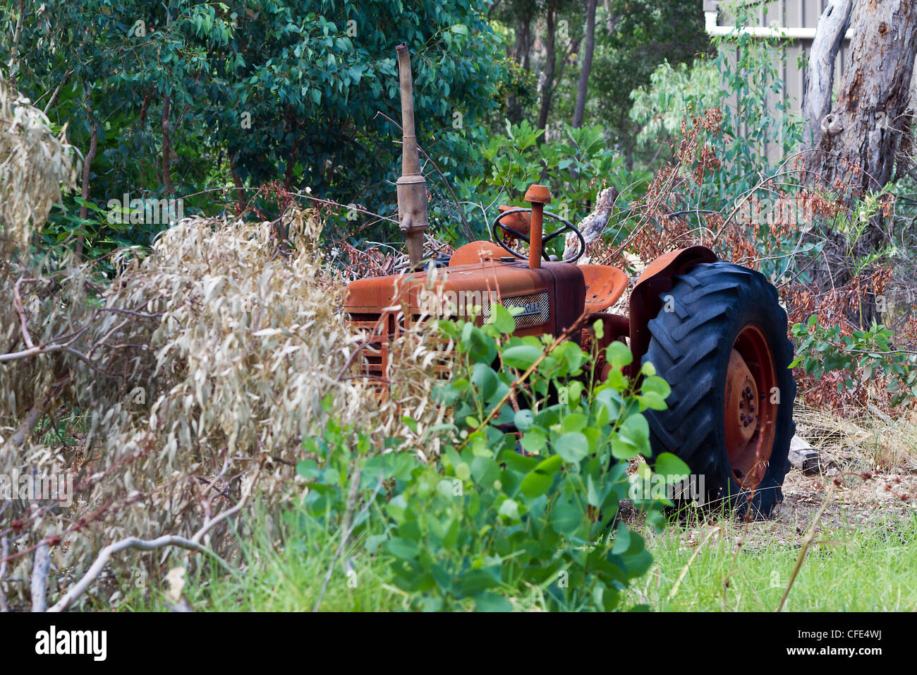 Abandoned Old Rusty International Scrap Tractor Stock Photo - Alamy