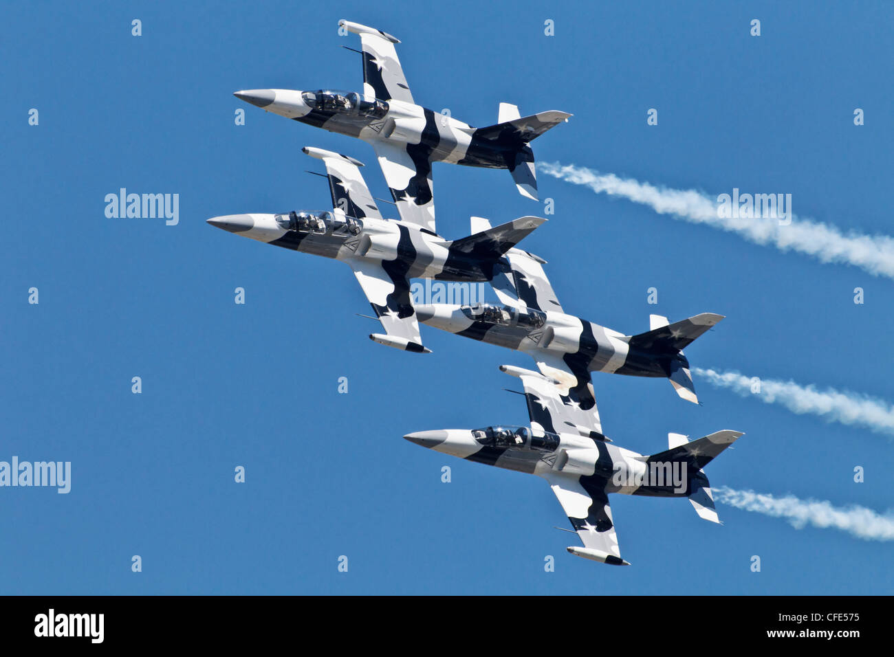 Aero L39 Albatross aircraft of the US civilian aerobatic team Heavy ...